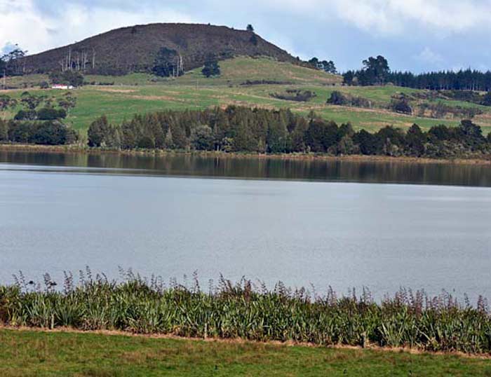 omapere - To restore New Zealand valuable waterways