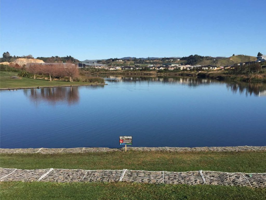tauriko - To restore New Zealand valuable waterways